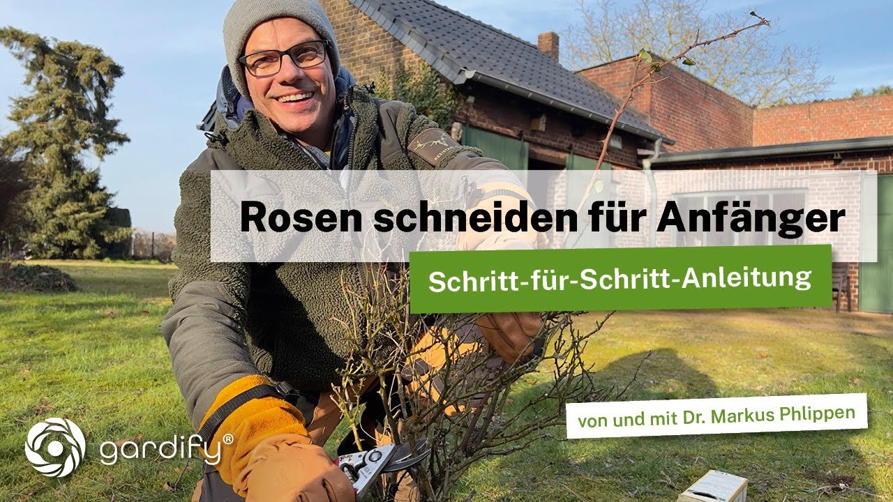 Rosen richtig schneiden: Tipps zur optimalen Pflege im Frühjahr - Mein Balkongarten